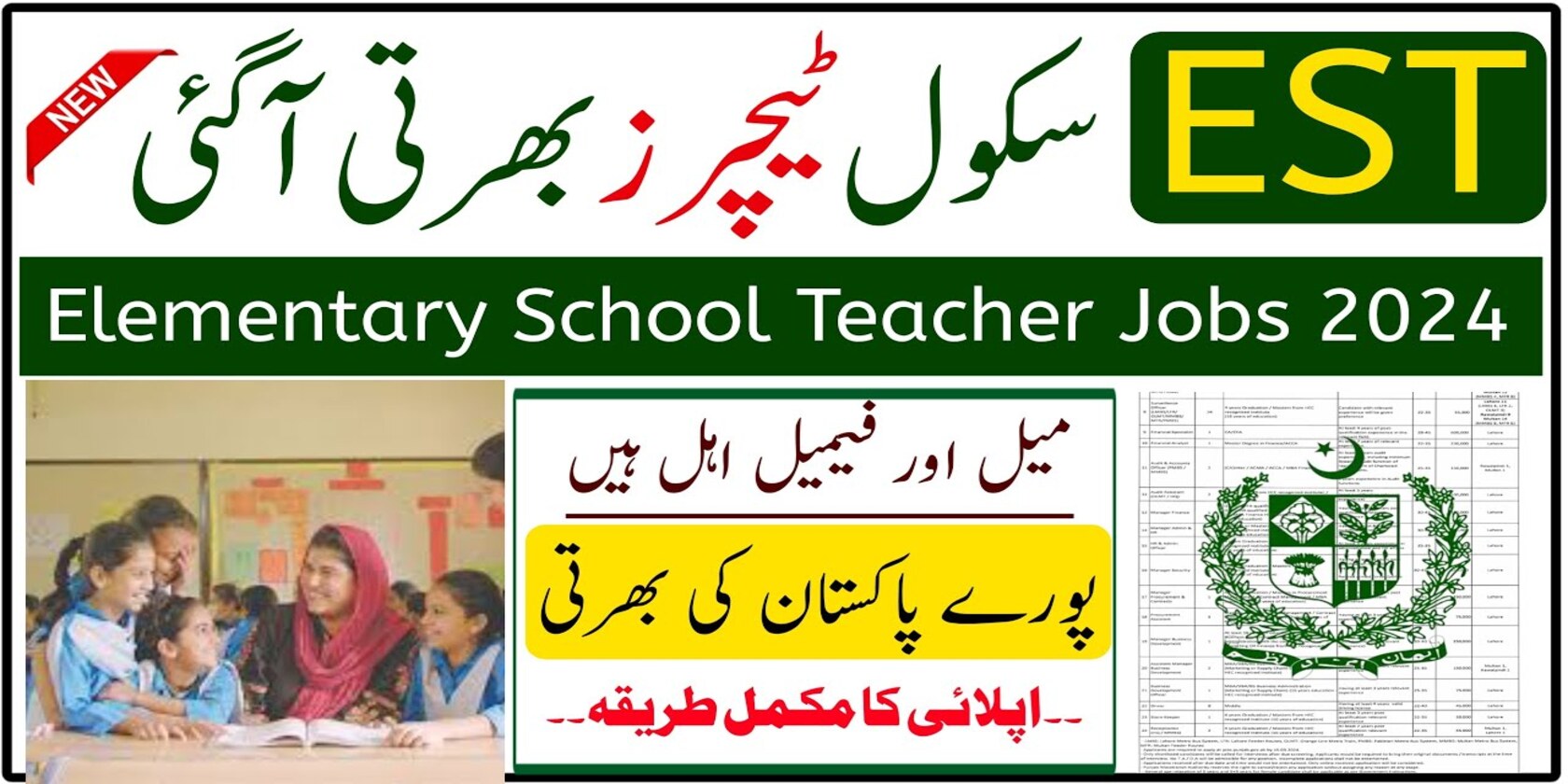 Elementary School Teachers Jobs 2024 Federal Directorate of Education