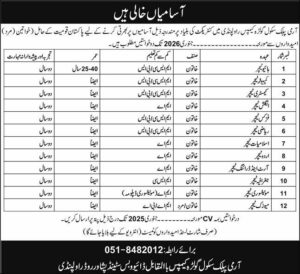APS Army Public School GLD Campus Latest Jobs 2026